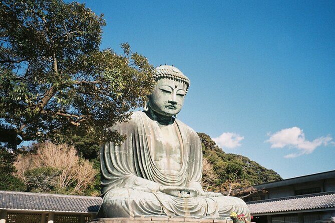 Tokyo Kamakura Day Trip - Final Thoughts: Is This Tour Worth It?