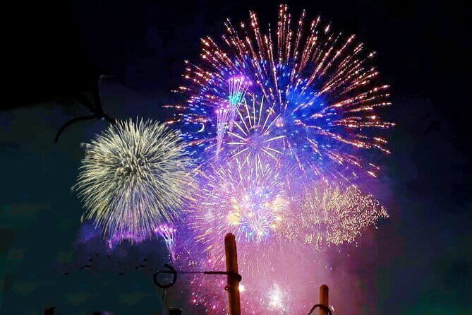 Tokyo Koto Fireworks Festival Cruise &Dinner &Performance &Drinks - Breaking Down the Itinerary