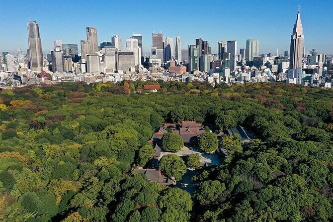 Tokyo: Meiji Shrine Historical Tour with Local Guide - Who Will Love This Tour?