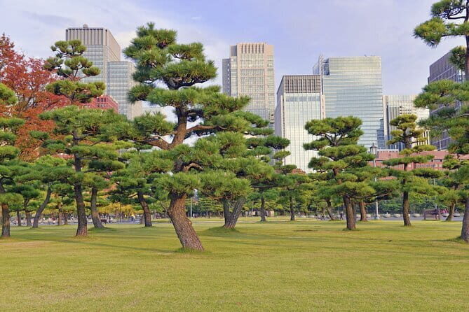 Tokyo Morning Small Group Tour - The Practicalities