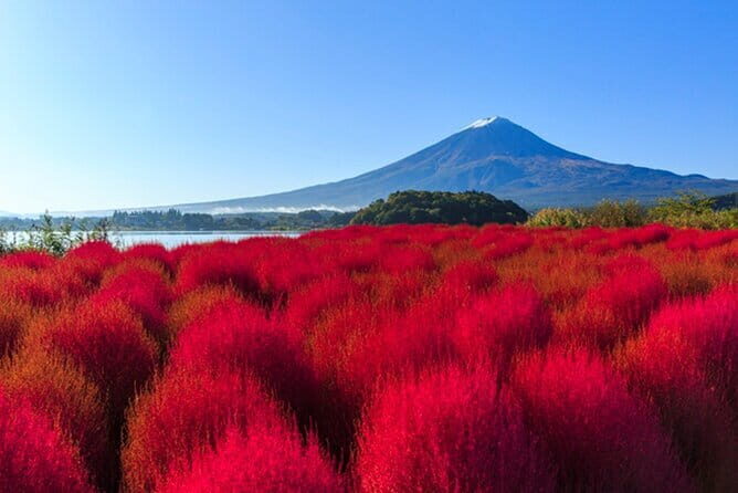 Tokyo: Mt. Fuji and Lake Kawaguchi 1-Day Luxury Bus Tour - Who Is This Tour Best For?