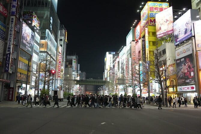 Tokyo Night Tour Akihabara, Shibuya, Karaoke and City Lights - A Close Look at the Itinerary and What You Can Expect