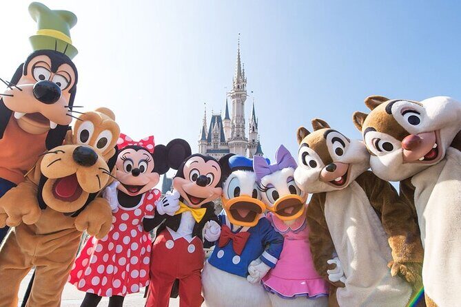 Tokyo, Shinkansen, Disneyland, Yokohama, City to City Transfer - Real Feedback from Travelers