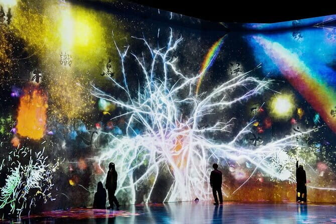 Tokyo: teamLab Borderless Museum Admission Ticket - The Best Parts of the Experience