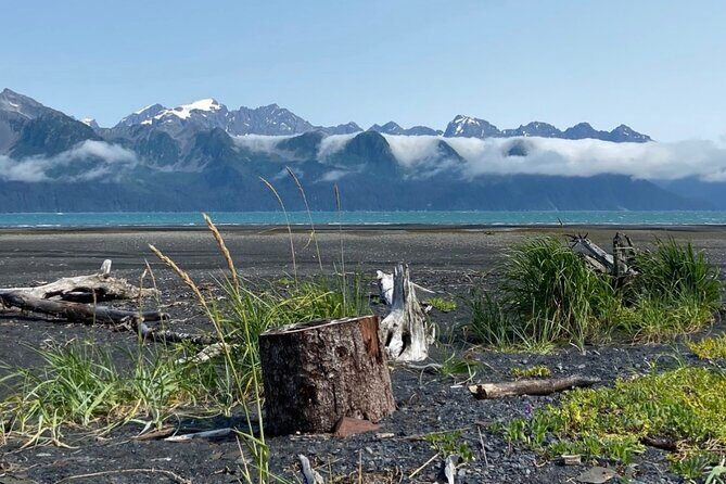 Tonsina Beach Hike with Seward Guided Hikes - The Sum Up