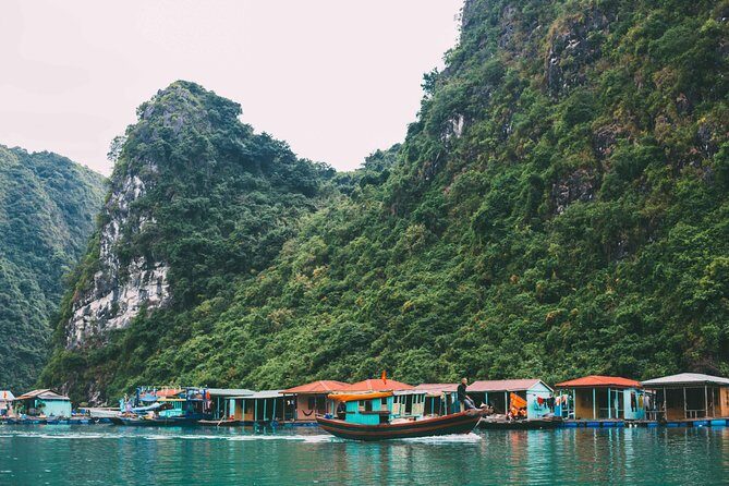 Top 1 Ha Long 1-Day Luxury Cruise 5 Star Experience - Who Would Love This Tour?