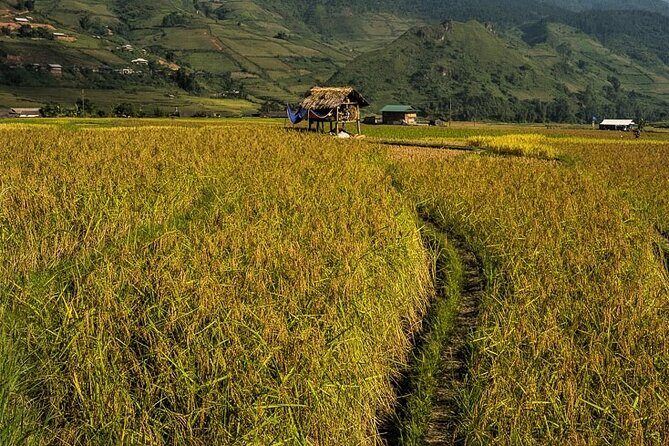 Top Active Vietnam Adventure and full package - FAQs