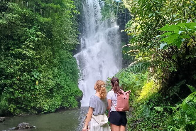 Top Waterfalls in Bali: Leke-Leke, Aling-Aling, Blue Lagoon - The Overall Experience: What Travelers Can Expect