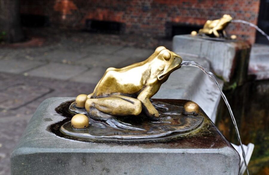 Torun Old Town Highlights Private Walking Tour - Authentic, Engaging, and Family-Friendly