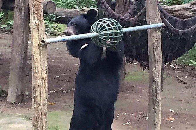 Tour of Elephant Conservation and Bear Rescue Center From Agra - Value and Practicalities