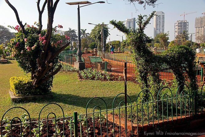 Tour of Mumbai City - Who Will Love This Tour?