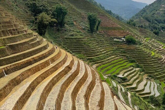 Tours_Sapa_Sapa Trekking Experience Trekking Through Terraced Rice Fields_D50492 250466P141 Review - The Experience in Practice