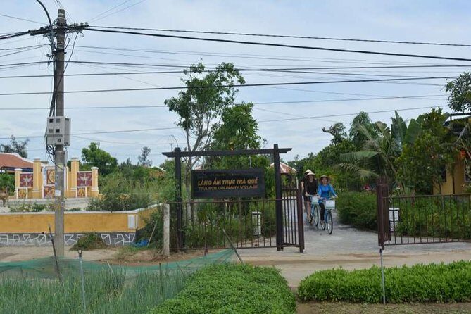 Tra Que cooking class in the morning depart from Hoi An - An In-Depth Look at the Hoi An Tra Que Cooking Class