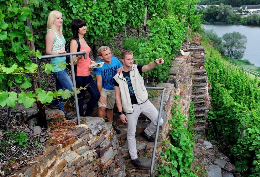 Traben-Trarbach / Bernkastel-Kues, Moselle: Wine experience hike - Transport and Timing