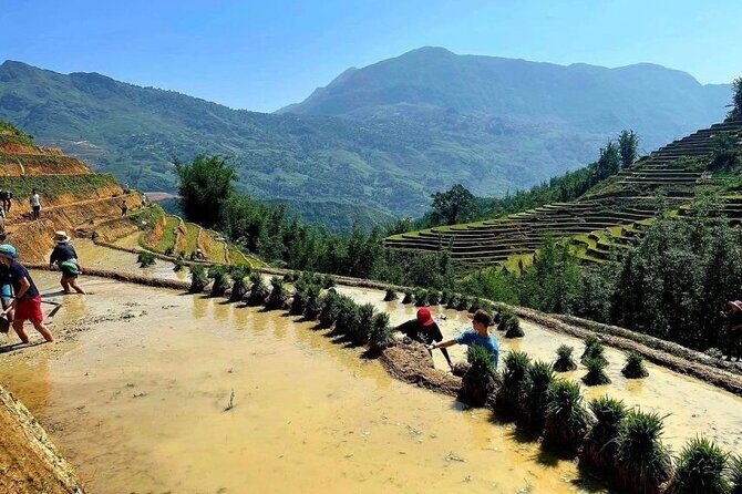 Transfer to or from Sapa in a Sleeper Bus from Hanoi - What’s Included (and What’s Not)