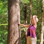 Transformative Forest Escape: A Mindful Journey for Inner Calm - The Experience Itself: What You Can Expect