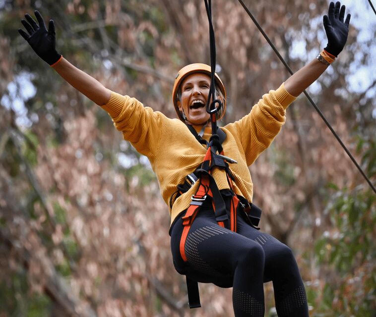 TreeClimb Kuitpo Forest: Exciting Treetop Climbing Adventure - What You Can Expect During Your Visit