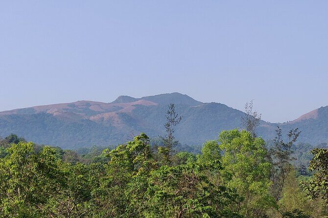 Trek the Kodachadri Summit - What to Expect at Each Stop