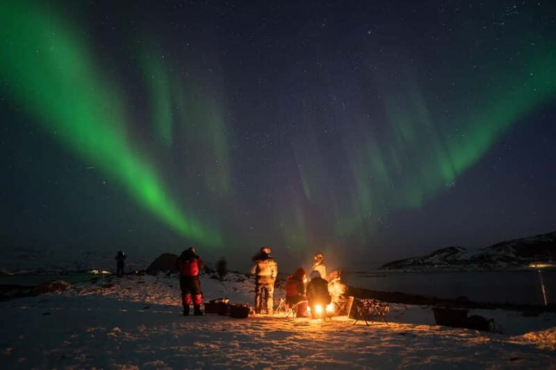 Tromsø: Adult Only Aurora hunt with Citizen Science - Who Should Consider This Tour?