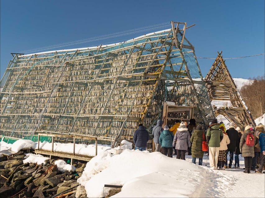 Tromsø: Arctic Fjord Cruise With Stop On Land At Fish Racks - Who Should Consider This Tour?
