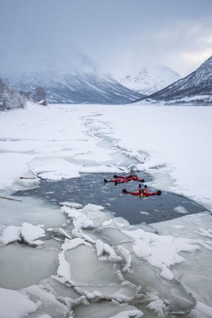 Tromsø: Arctic Floating with Snacks and Drinks - Key Points