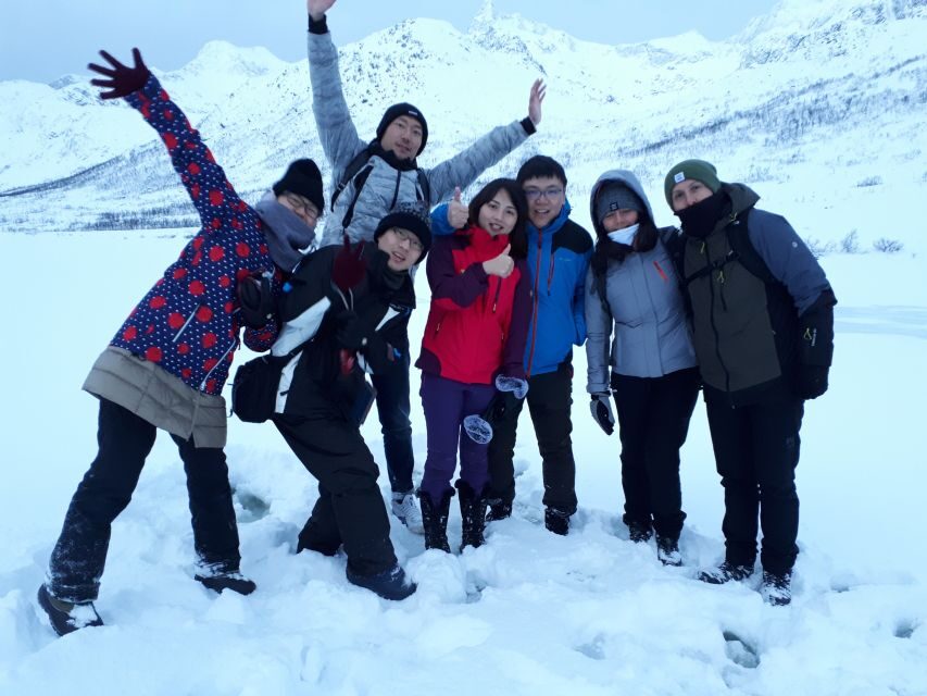 Tromsø: Arctic Landscape and Fjord Tour with Snacks - The Itinerary: What Stops Make the Difference?