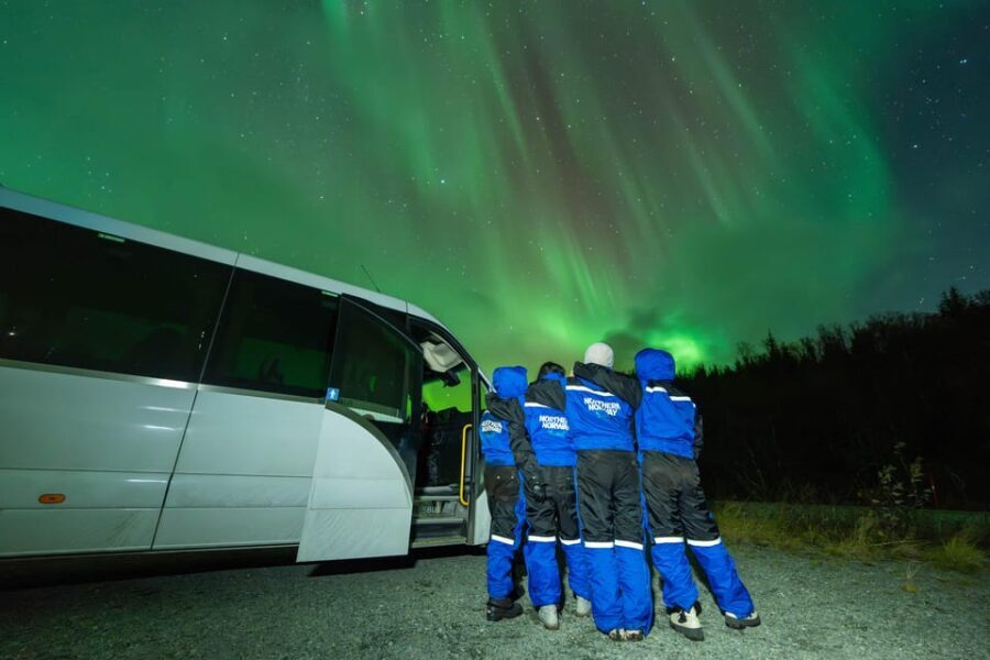Tromsø: Aurora Borealis, Campfire, Hot Meal, Arctic Tour - The Authenticity & Value of This Arctic Adventure
