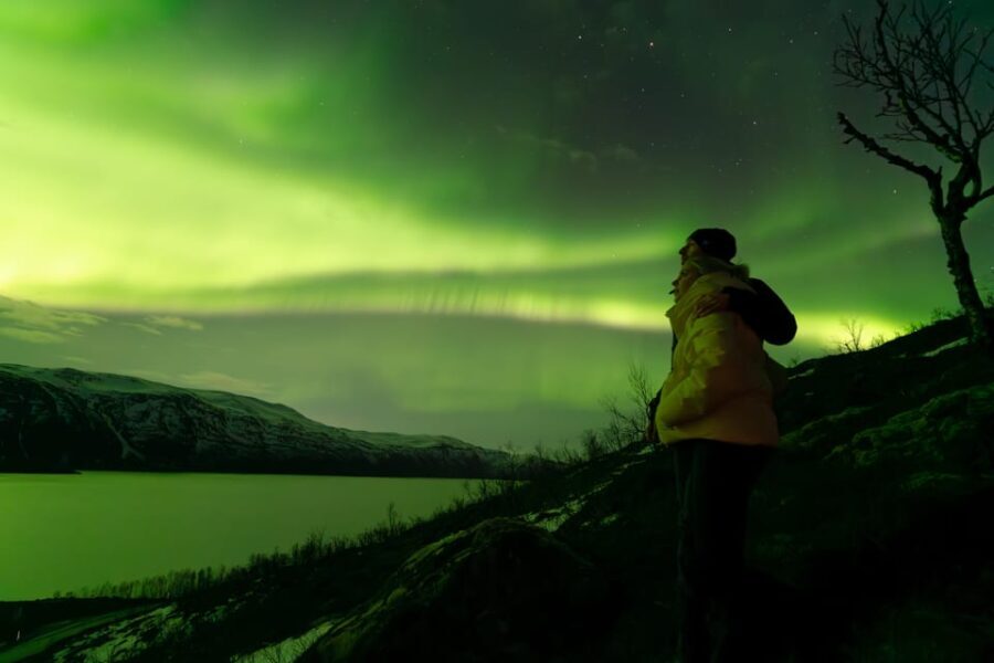 Tromsø: Aurora Quest Minibus Adventure - Final Thoughts