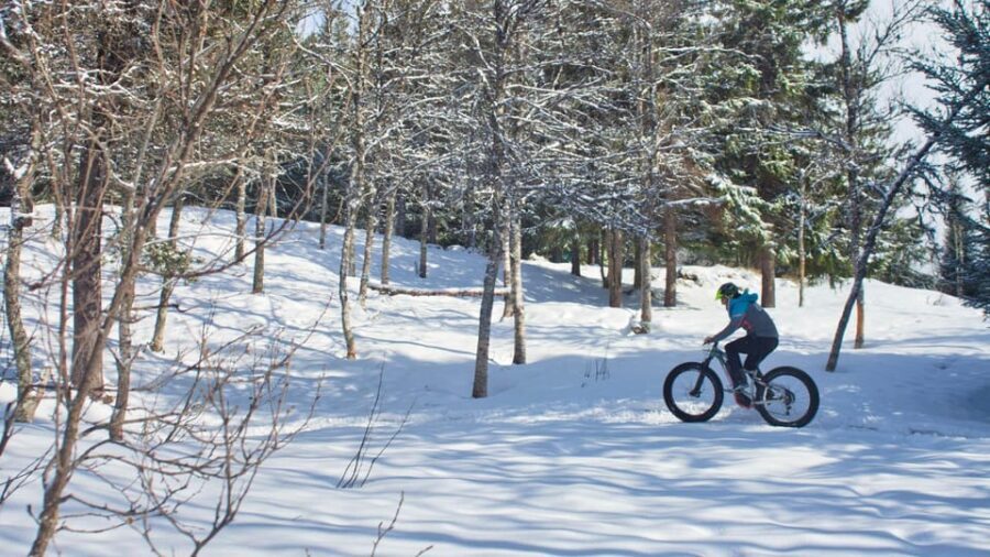 Tromsø: Electric fatbike trip on winter paths - What to Expect During Your Tour