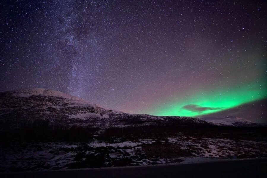 Tromsø: Evening Cruise with Northern Lights Opportunity - Who Will Love This Tour?
