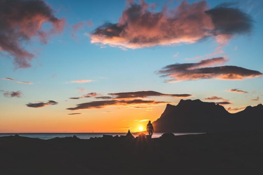 Tromso: Evening guided Fjord Expedition & Kvaløya Island - The Value of the Experience