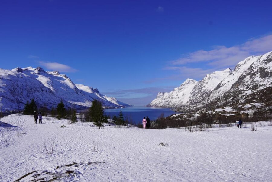 Tromsø: Exclusive Fjord Adventure by Bus - What’s Included & What You Should Prepare