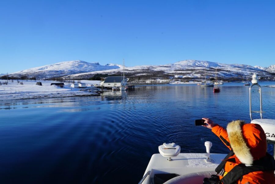 Tromsø: Fjord Cruise by Luxury Yacht - Who Will Appreciate This Tour?
