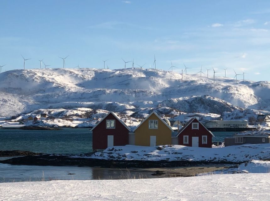 Tromsø: Fjords and Sommarøy Islands Tour with Salmon Picnic - What the Tour Offers: An In-Depth Look