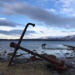 Tromsø: Horseback Riding Tour - Authentic Experiences and Real Reviews