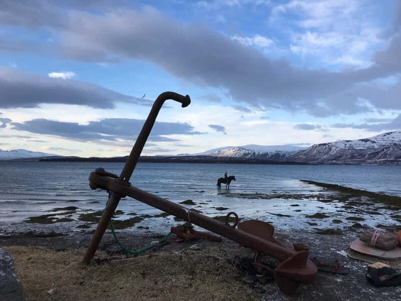 Tromsø: Horseback Riding Tour - Authentic Experiences and Real Reviews