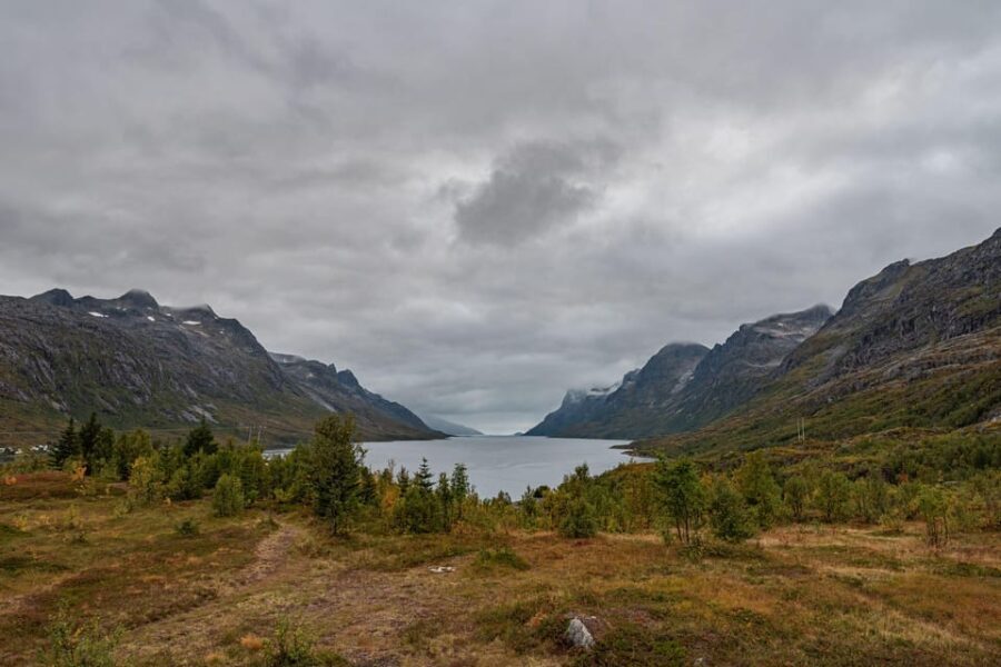 Tromsø: Kvaløya & Sommarøy Guided Tour - Practical Tips for Travelers