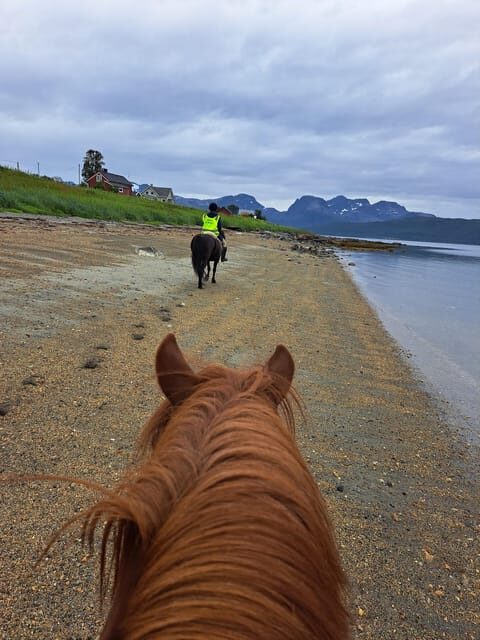 Tromsø: Lyngen Horse Summer Riding Experience - The Itinerary Breakdown