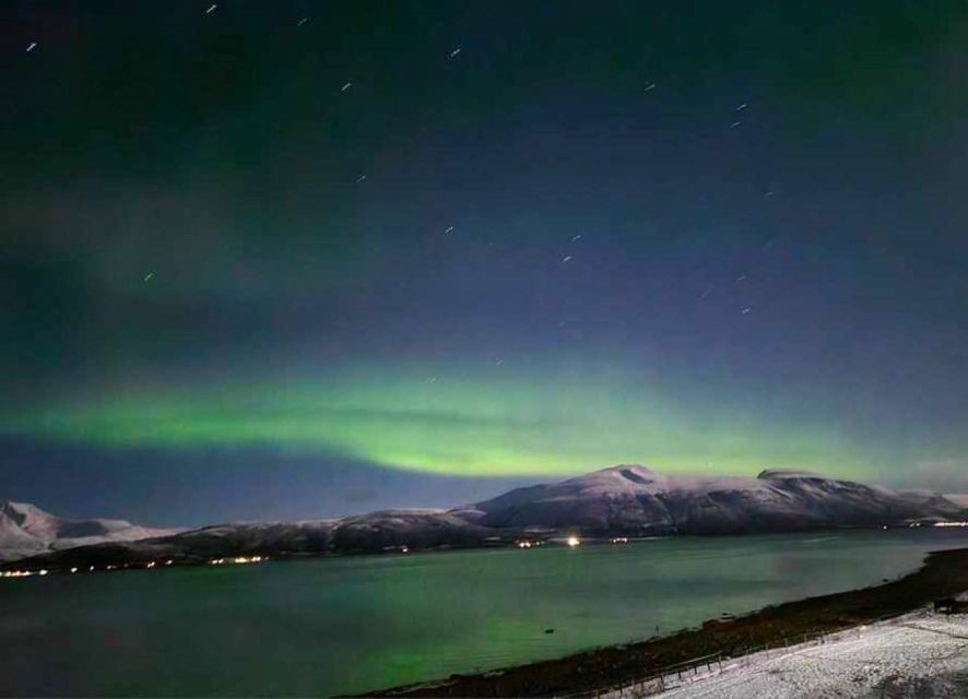 Tromsø: Lyngen Horse Winter Evening Riding Experience - Is It Worth the Price?