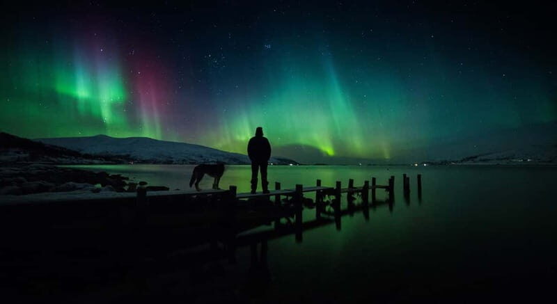 Tromsø: Northern Lights Chase + Free Professional Photos - The Itinerary: What to Expect