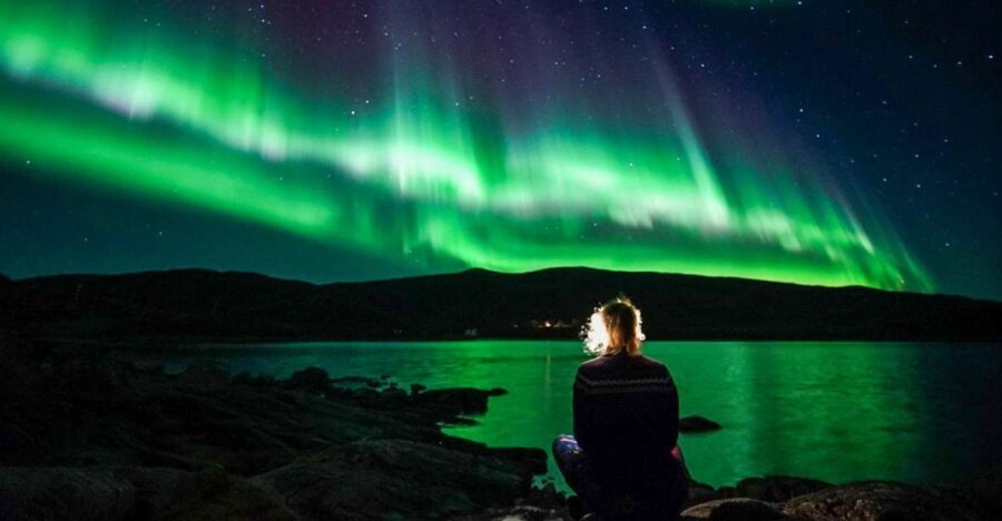 Tromsø: Northern Lights Chase Minibus Tour - An Honest Breakdown of the Tour Experience