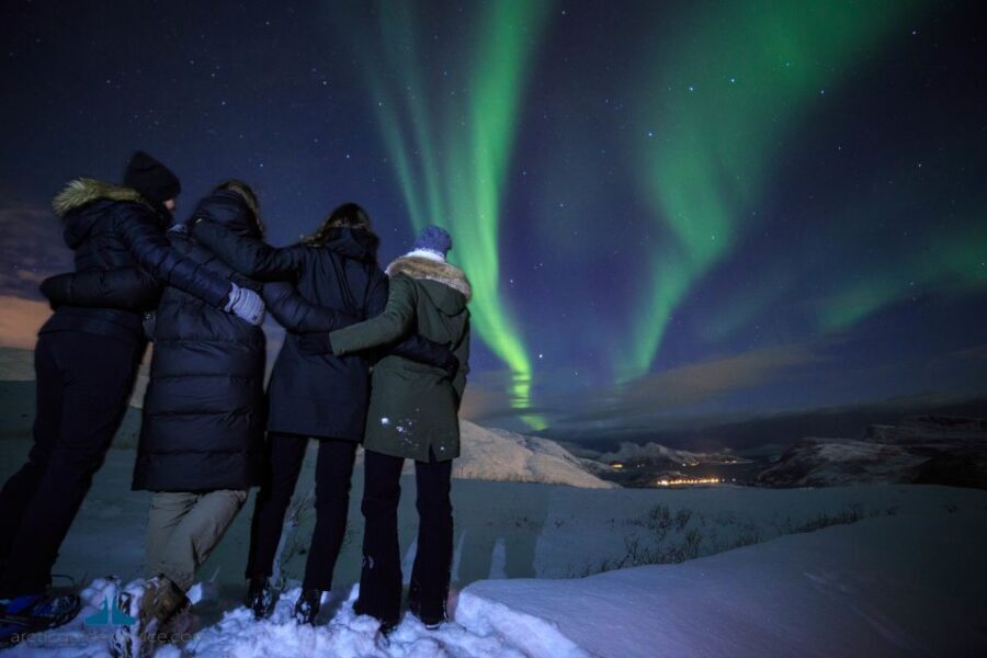 Tromsø: Northern Lights Guided Bus Tour - The Stops: Scenic and Strategic