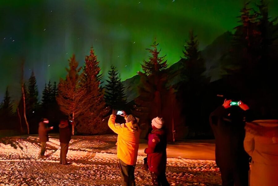 Tromsø: Northern Lights Hunt. Local Guide, Private Basecamp. - The Sum Up
