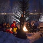 Tromsø: Northern Lights Husky Visit with Traditional Dinner - Who Will Love This Tour?
