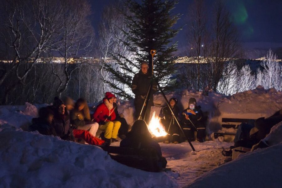 Tromsø: Northern Lights Husky Visit with Traditional Dinner - Who Will Love This Tour?