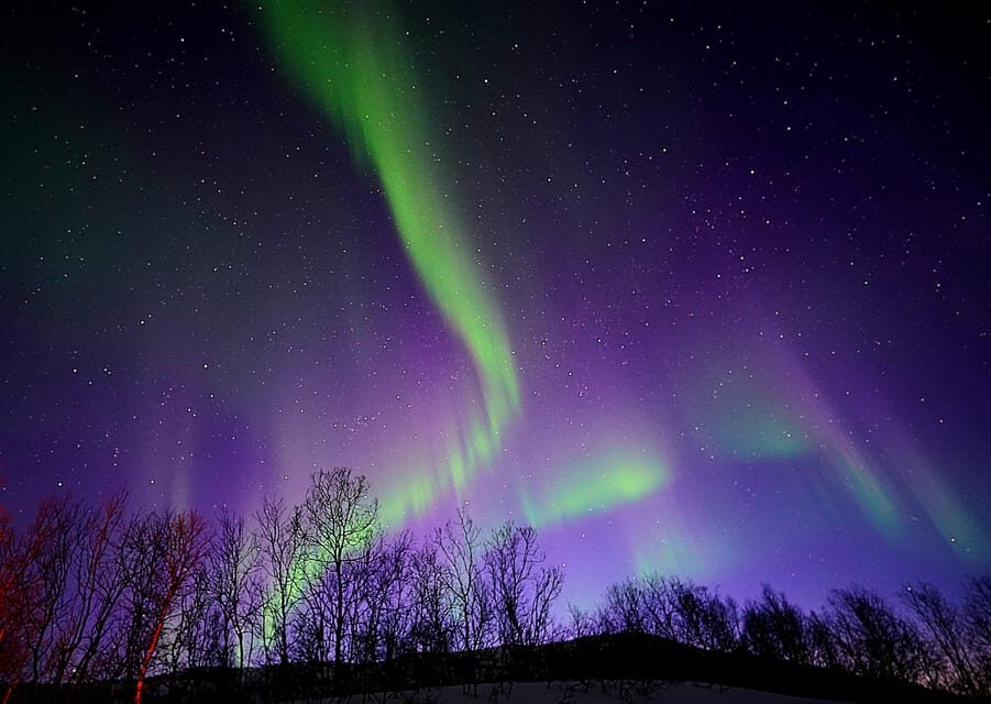 Tromso: Northern Lights Minibus Tour with Campfire - What’s Included and What’s Not