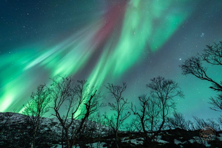 Tromsø: Northern Lights Photography Small-Group Tour - Final Thoughts: Who Is This Tour Perfect For?