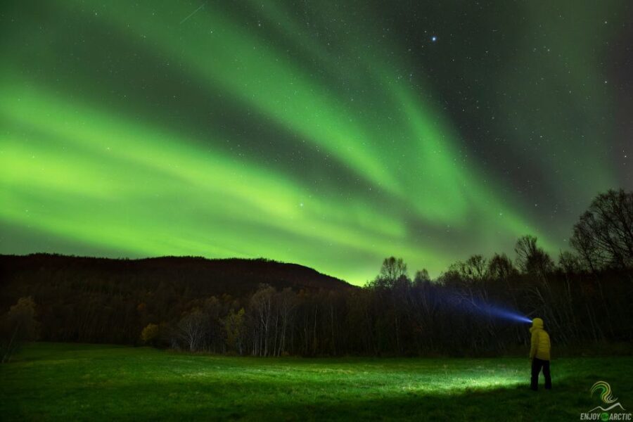 Tromsø: Northern Lights Trip with Campfire and Snacks - Why This Tour Is a Good Choice