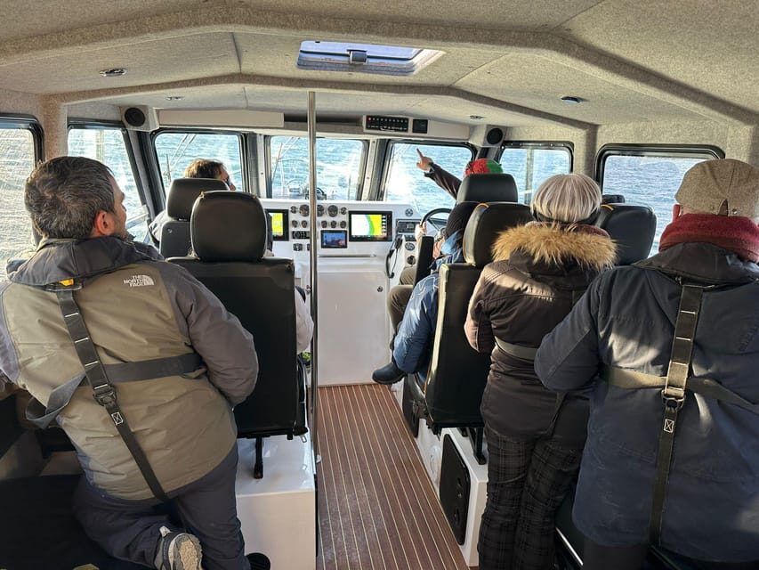 Tromsø: Orca and Whale Watching comfort heated boat Trip - Who Will Love This Tour?