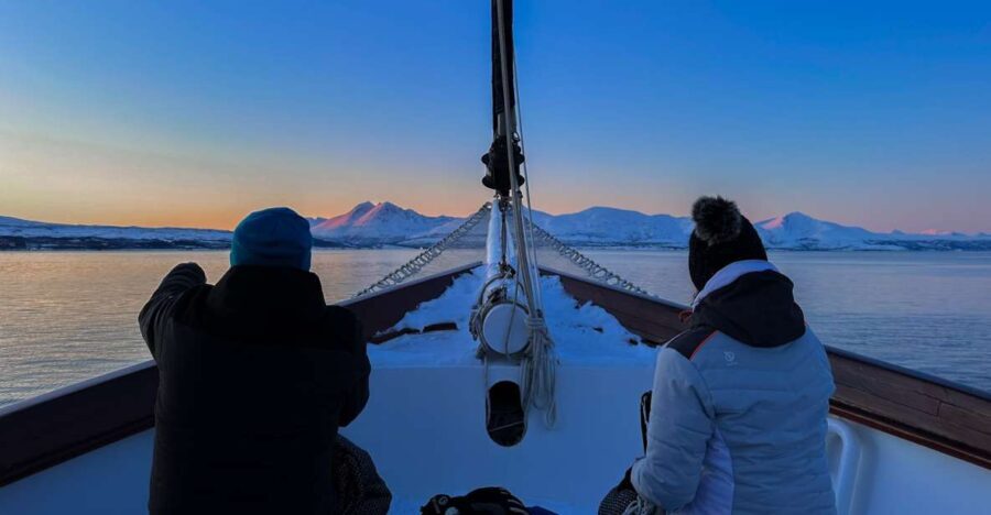 Tromsø: Polar Fjord Cruise on a Luxury Yacht with Lunch - The Yacht Experience